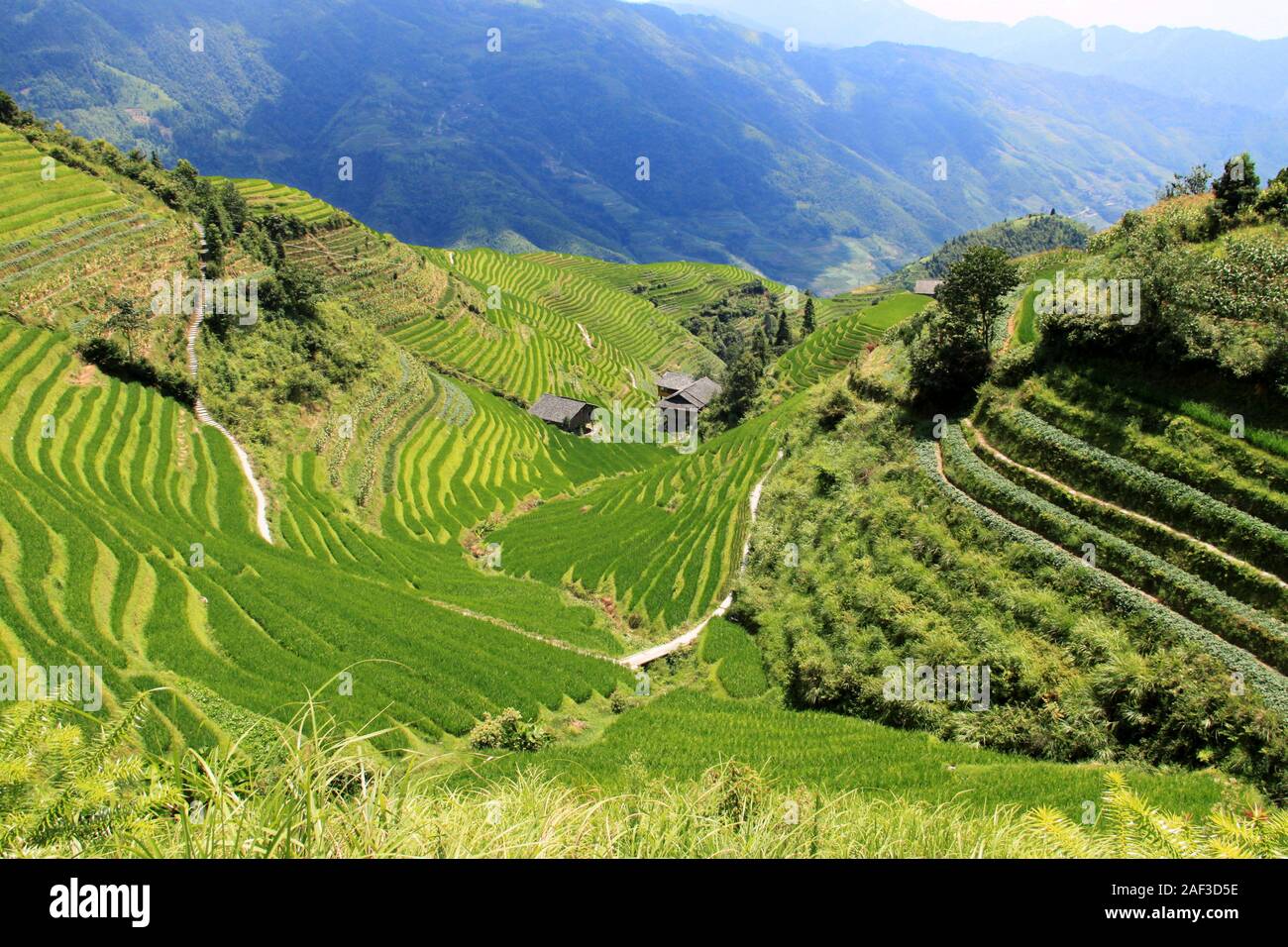 The extraordinary landscape of Longji rice fields Stock Photo - Alamy
