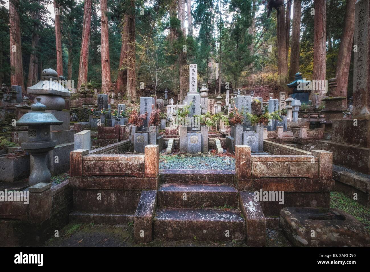 Ancient Japanese Graveyard inside Forest in Okunoin Cemetery, Koyasan ...