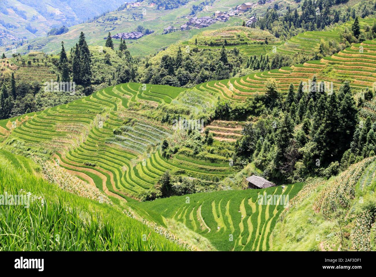The extraordinary landscape of Longji rice fields Stock Photo - Alamy