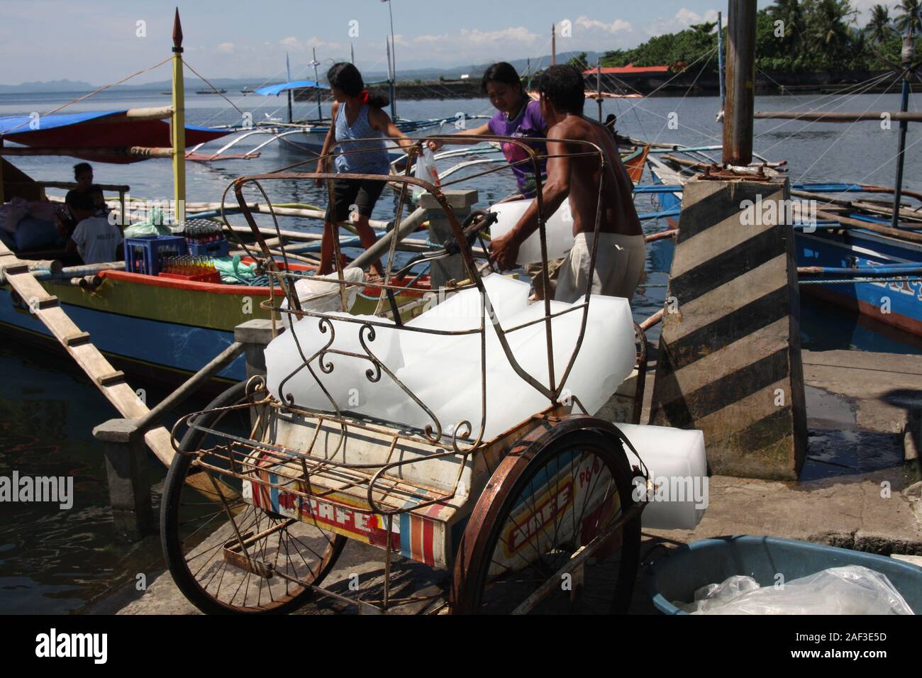 Tuna bicol hi-res stock photography and images - Alamy