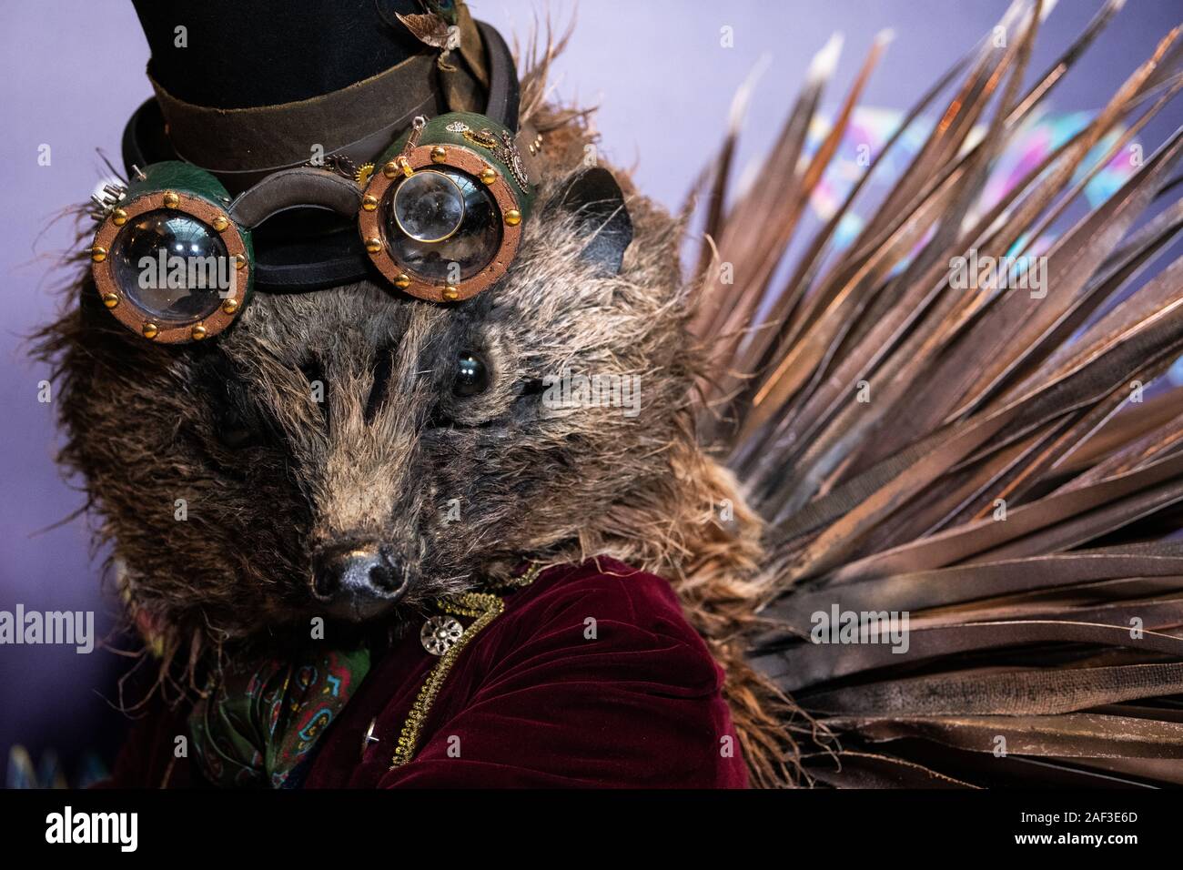A person dressed in a hedgehog costume attending The Masked Singer ...