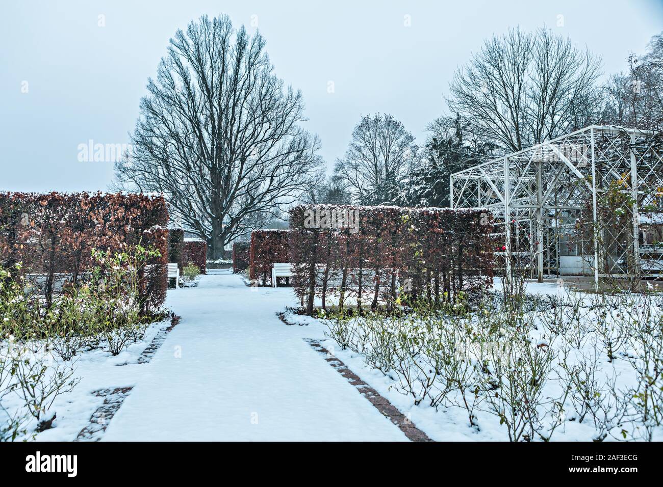 Snowy Rosengarten in Coburg, Bavaria, Germany Stock Photo - Alamy