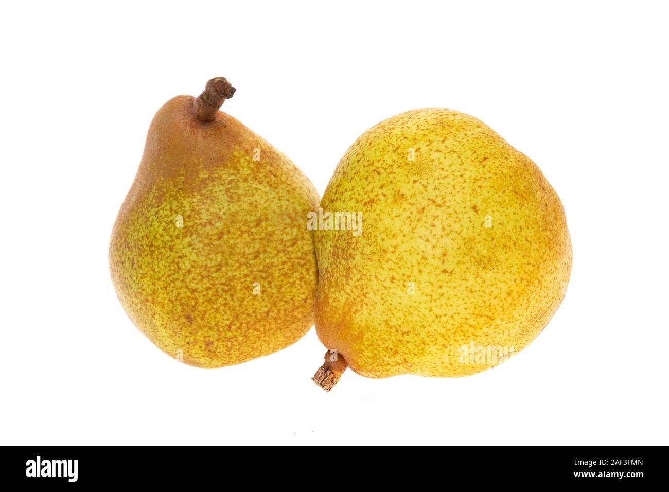 Two conference pears - white background Stock Photo - Alamy