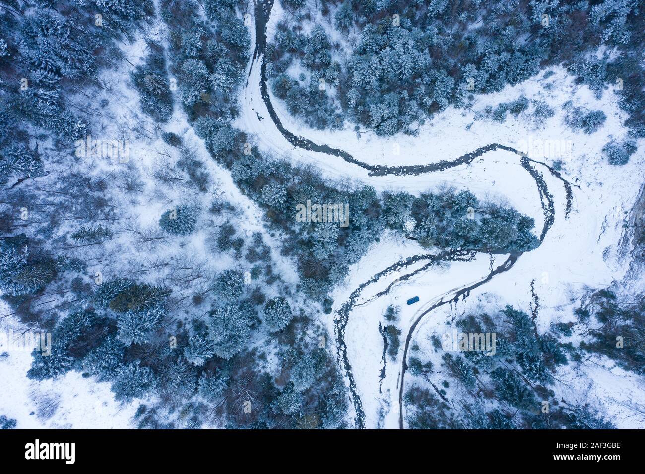Winter forest with frosty trees and a little meandering stream, aerial ...