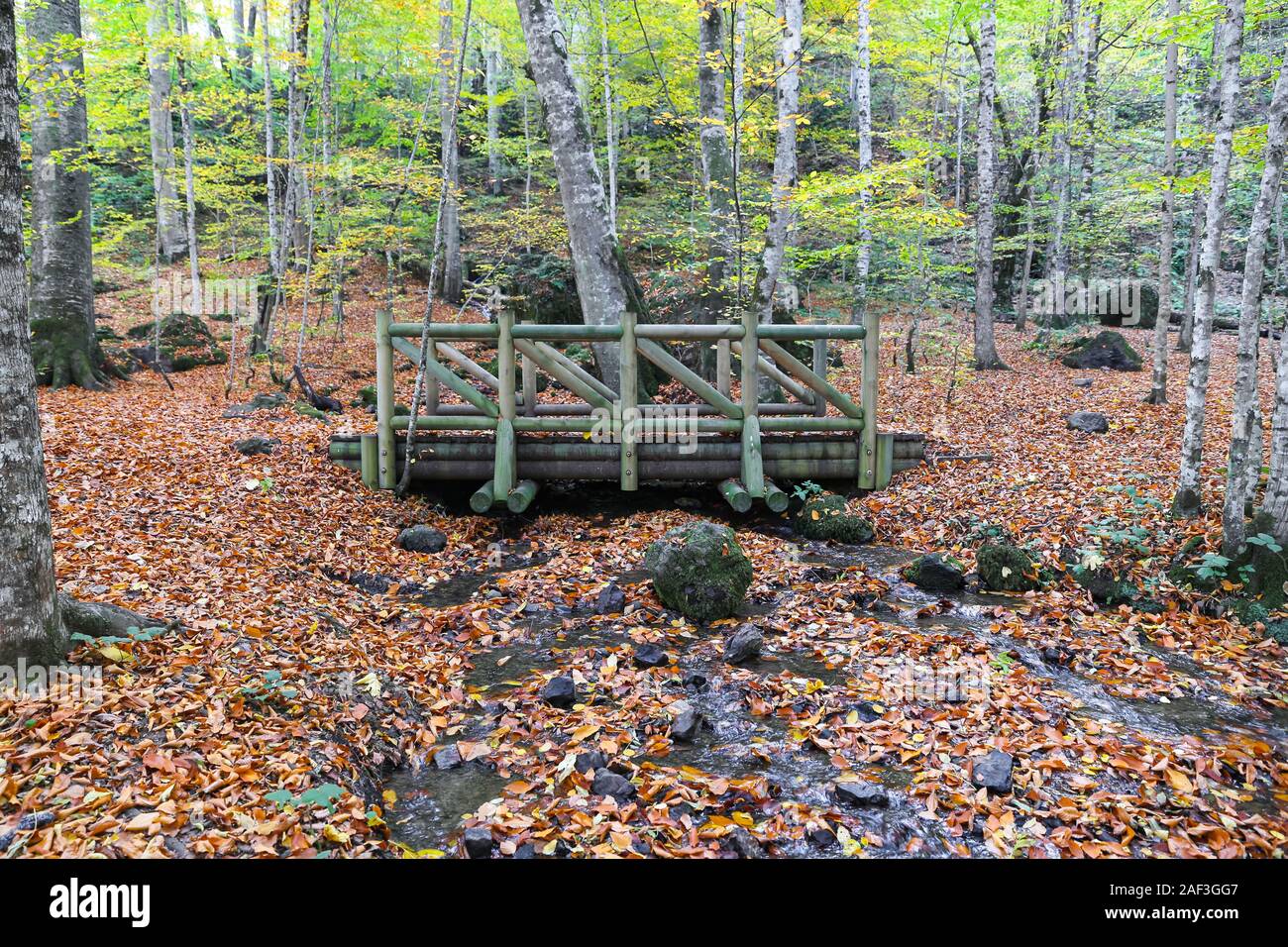 Wooden Bridge in Yedigoller National Park, Bolu City, Turkey Stock ...
