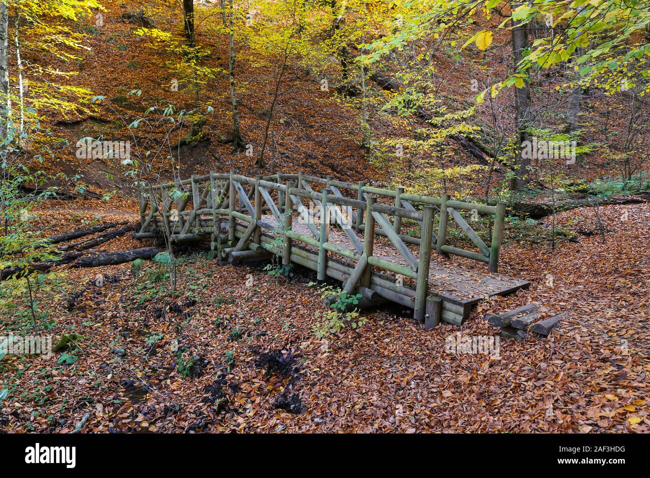 Wooden Bridge in Yedigoller National Park, Bolu City, Turkey Stock ...