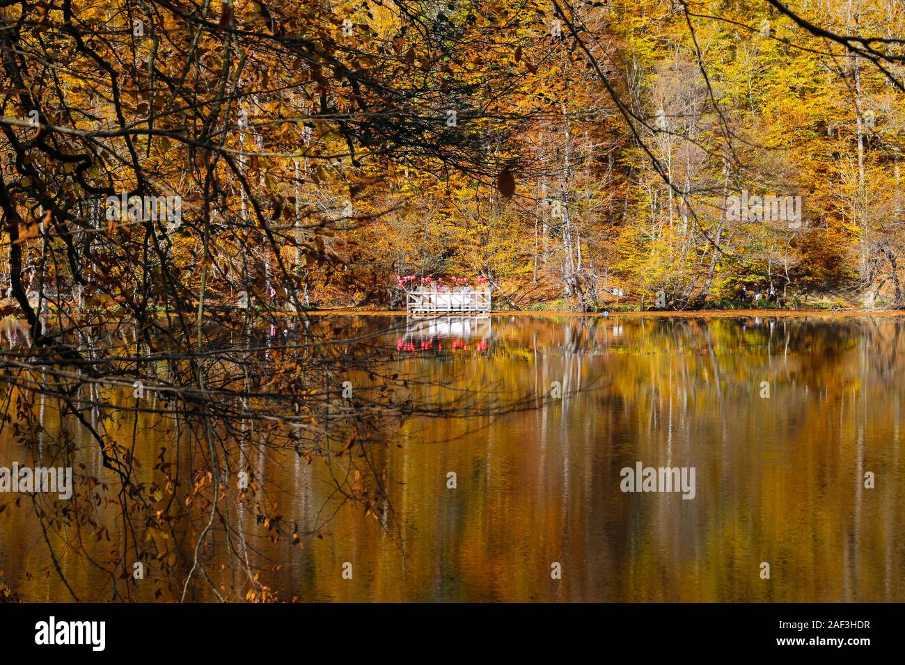 Buyuk Lake in Yedigoller National Park, Bolu City, Turkey Stock Photo ...