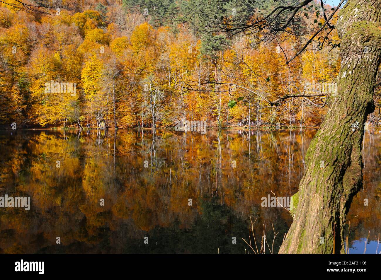 Buyuk Lake in Yedigoller National Park, Bolu City, Turkey Stock Photo ...