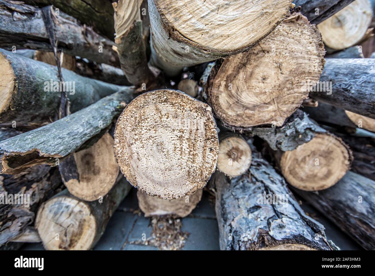 Log stores hi-res stock photography and images - Alamy