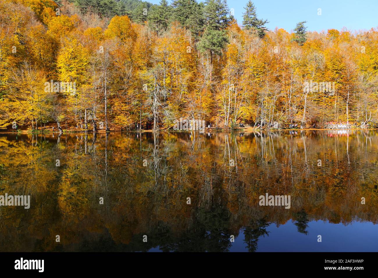 Buyuk Lake in Yedigoller National Park, Bolu City, Turkey Stock Photo ...