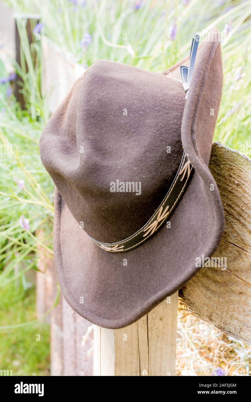 Cowgirl on ranch hi-res stock photography and images - Alamy