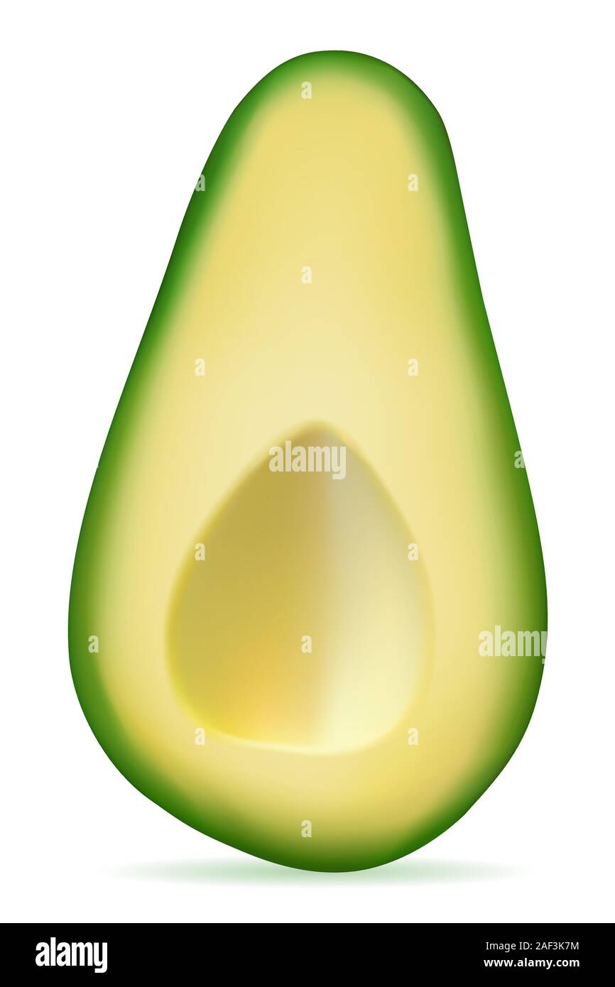 green avocado fresh ripe fruit vector illustration isolated on white ...