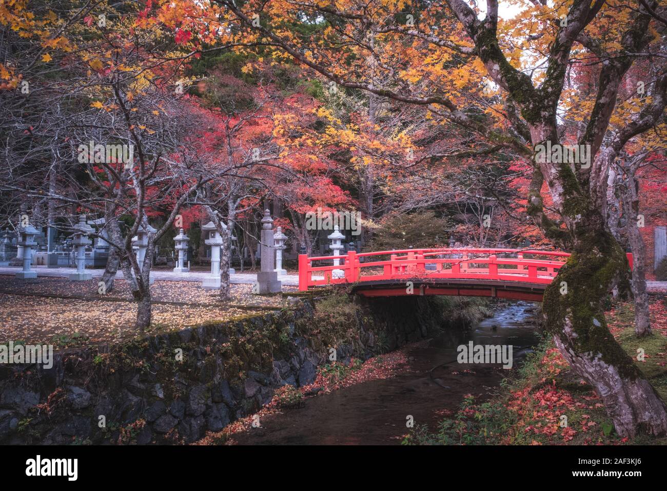 Red bridge with fall foliage hi-res stock photography and images - Alamy