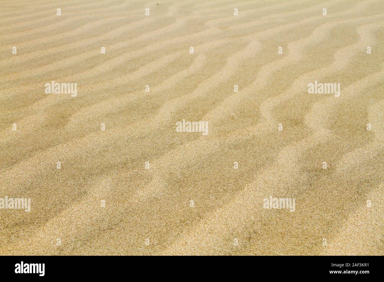 Madera irregular hi-res stock photography and images - Alamy