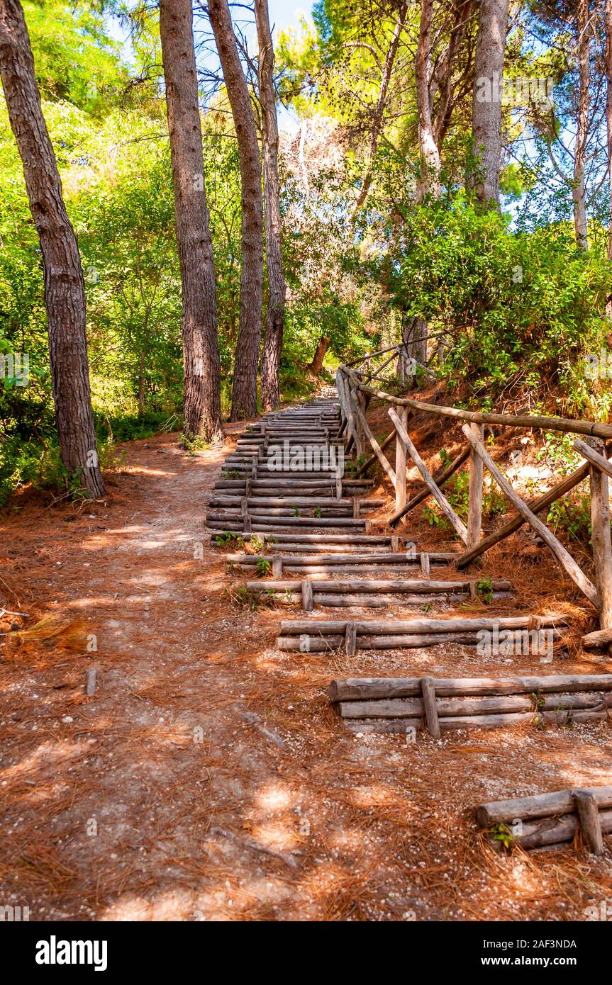 Endless curved wooden logs steps with crossed logs railings in the ...