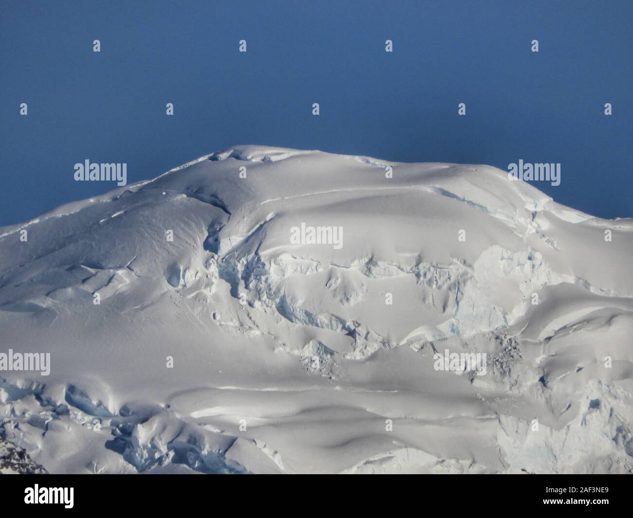 Patagia hi-res stock photography and images - Alamy