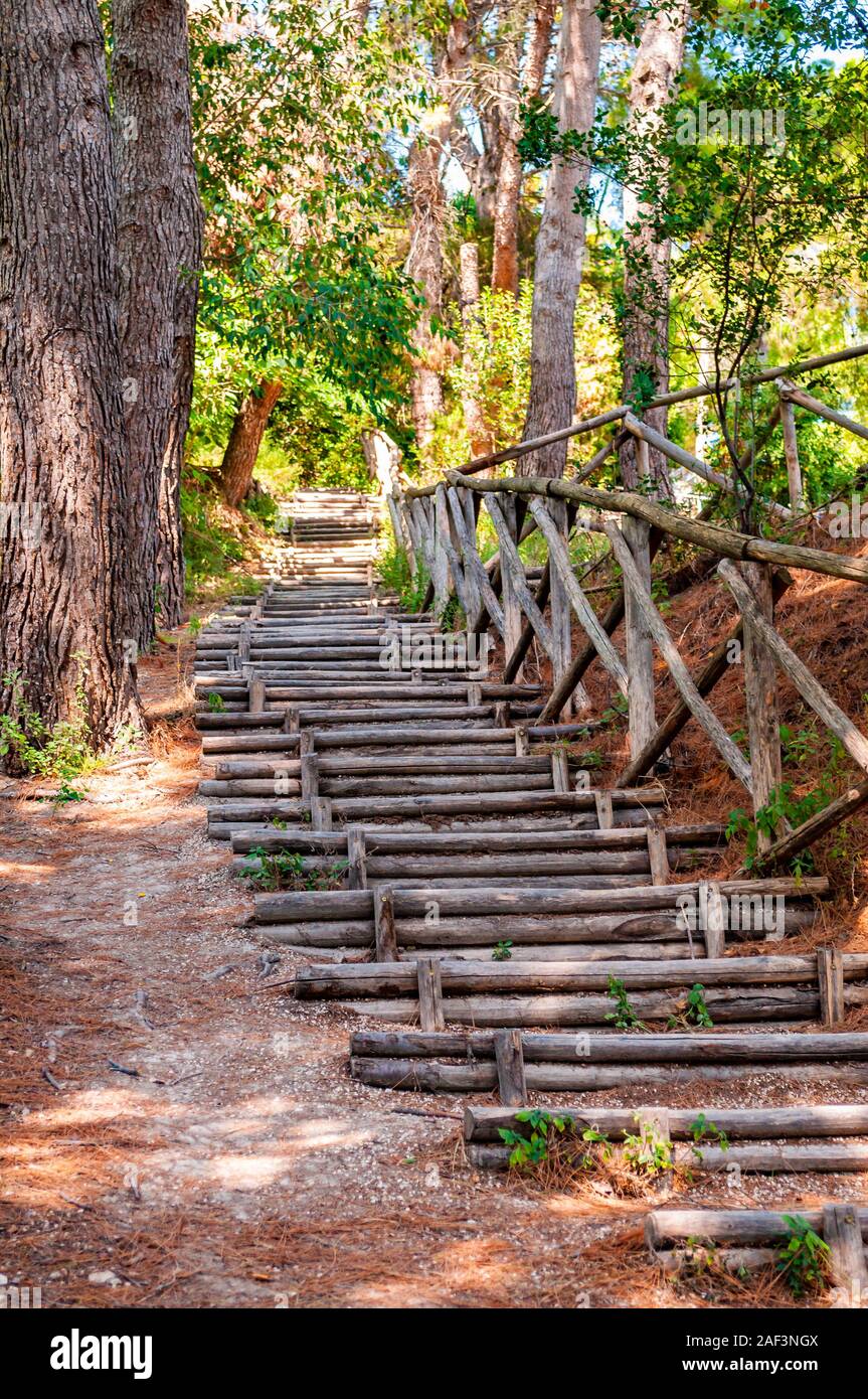 Endless curved wooden logs steps with crossed logs railings in the ...