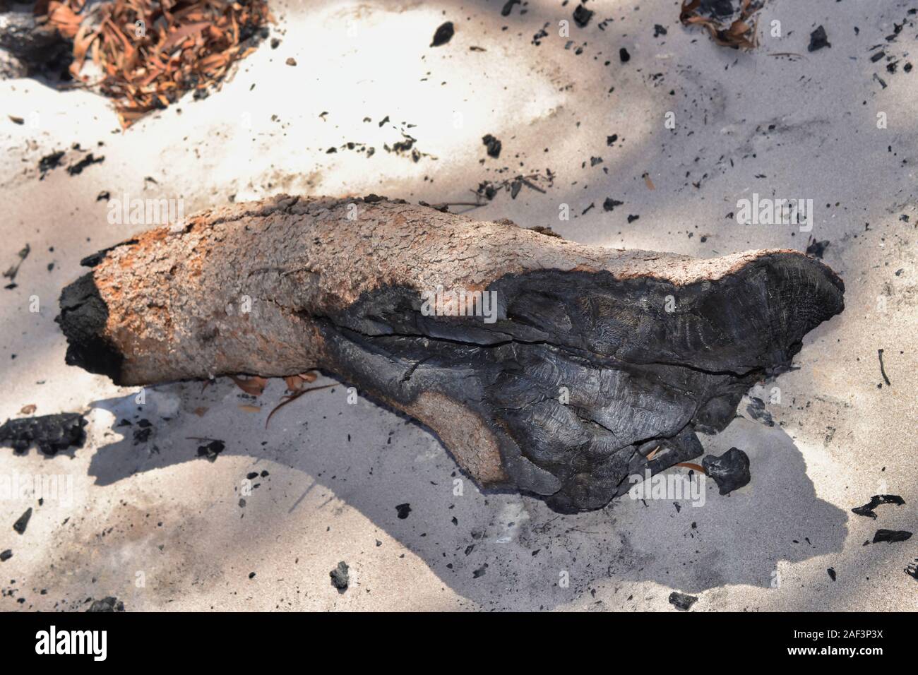 Climate destruction island hi-res stock photography and images - Alamy