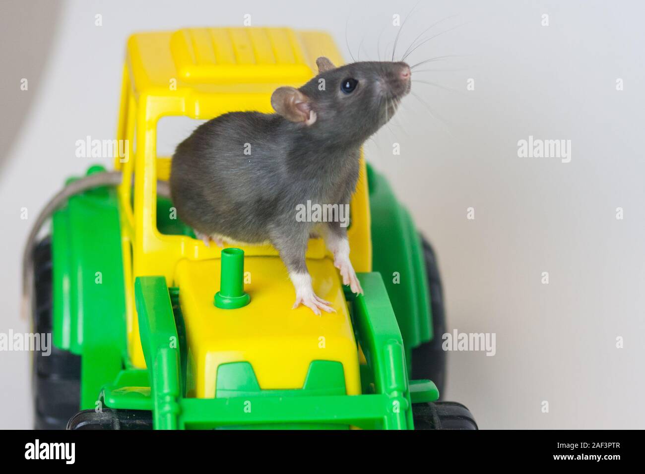 Chinese Tractor High Resolution Stock Photography and Images - Alamy