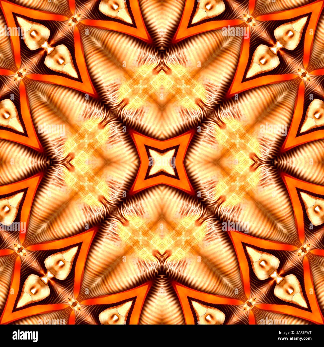 Symmetrical reflected patter from an original image of a Millipede ...