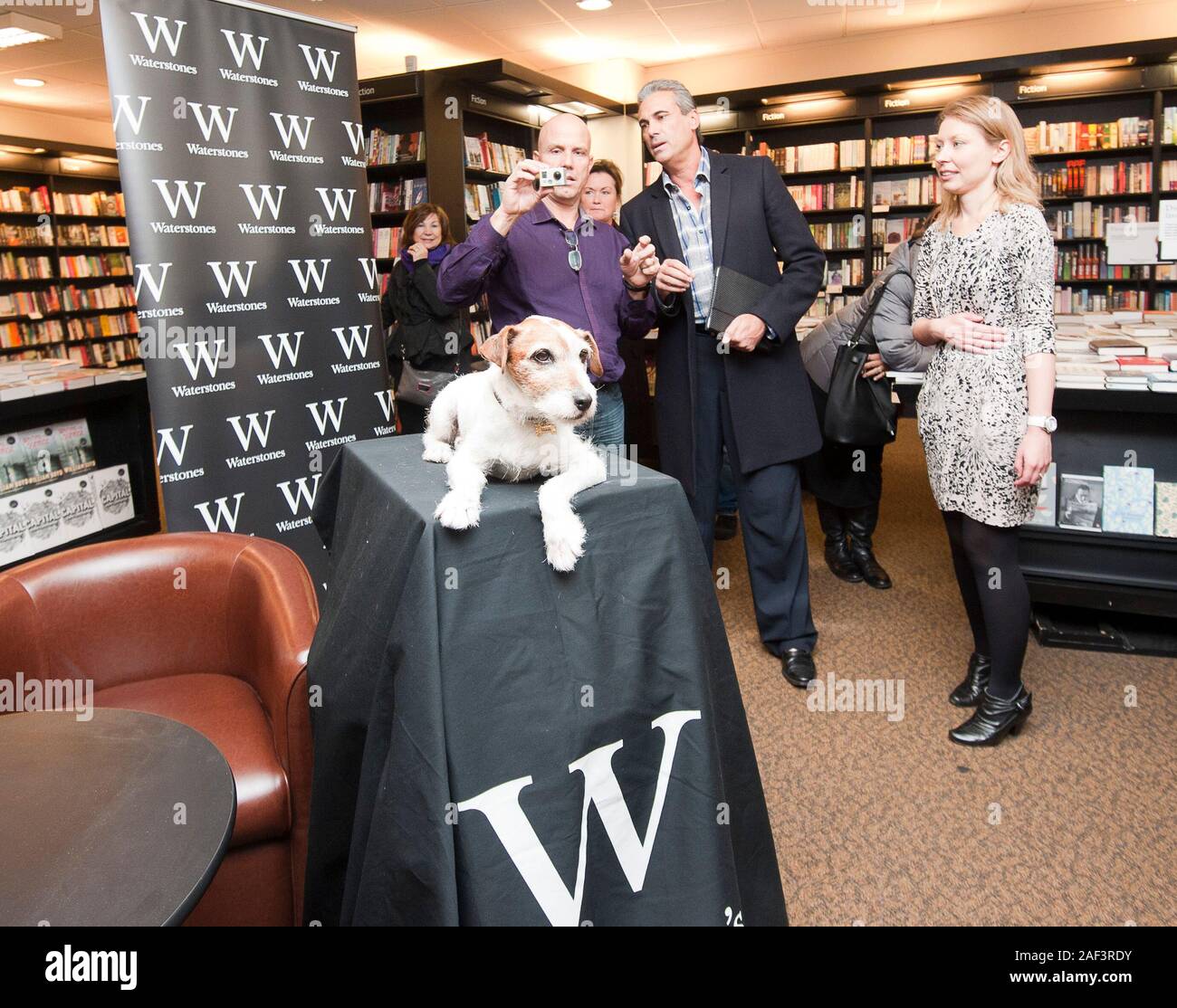 'Uggie' the Jack Russell star of the film The Artist' making a public ...