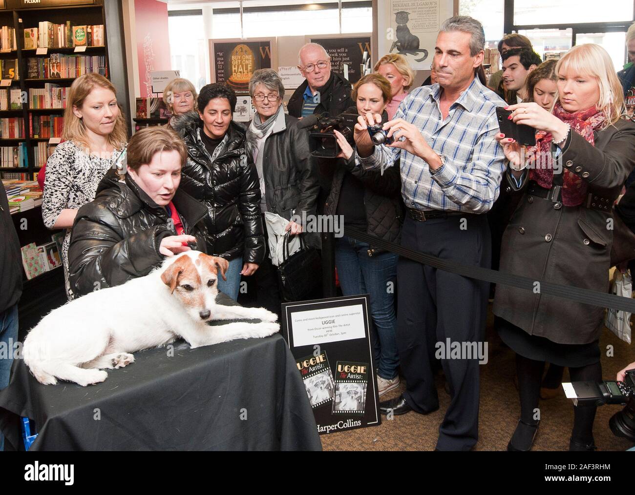 'Uggie' the Jack Russell star of the film The Artist' making a public ...