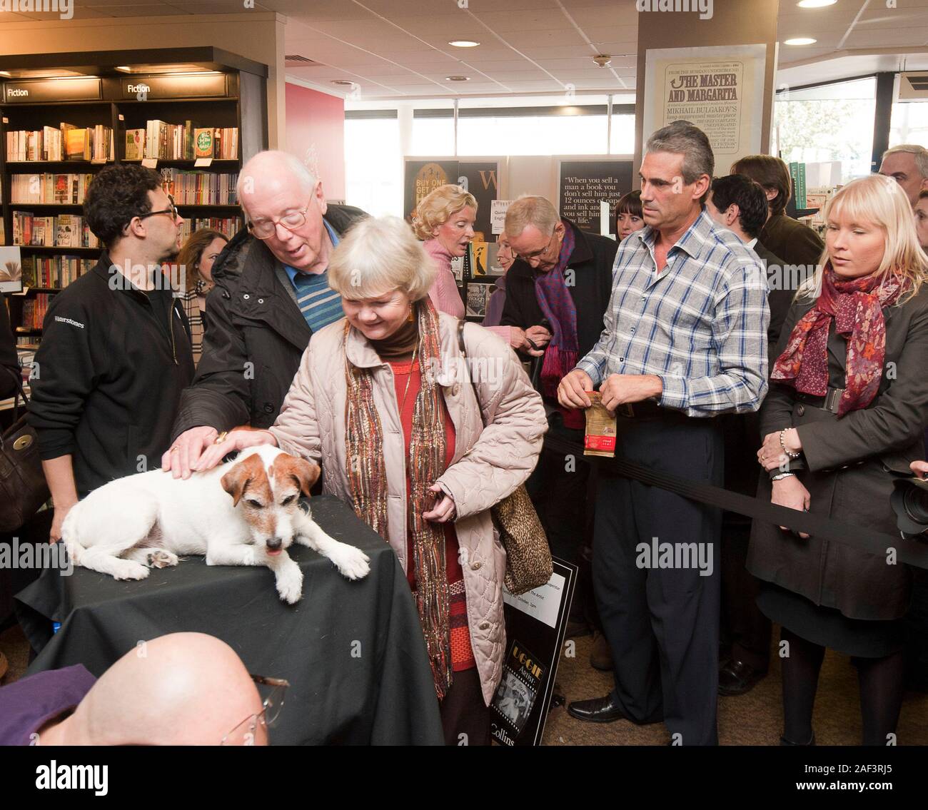 'Uggie' the Jack Russell star of the film The Artist' making a public ...