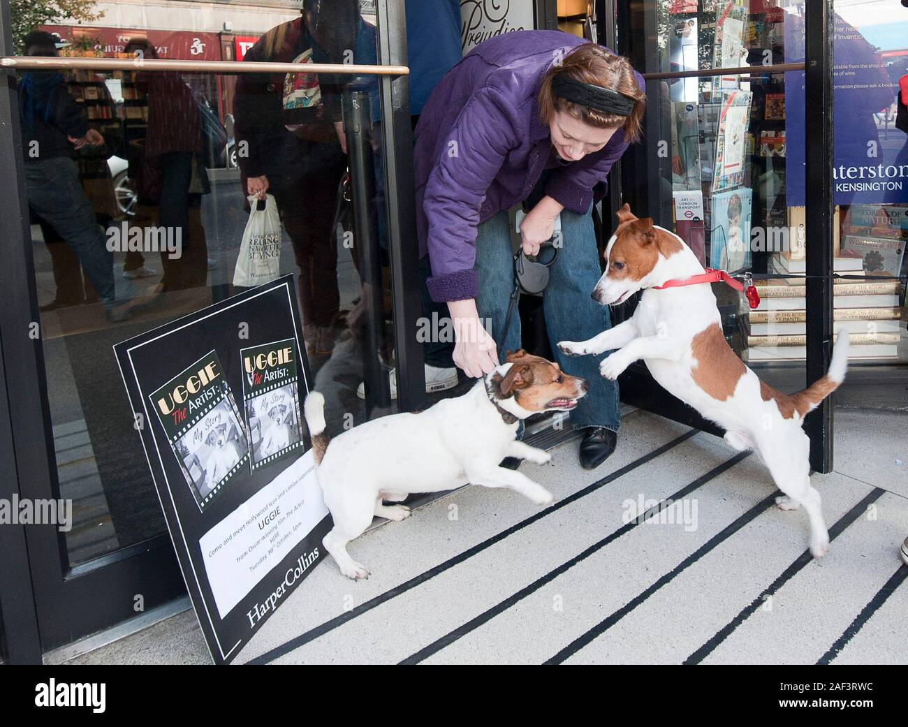 'Uggie' the Jack Russell star of the film The Artist' making a public ...