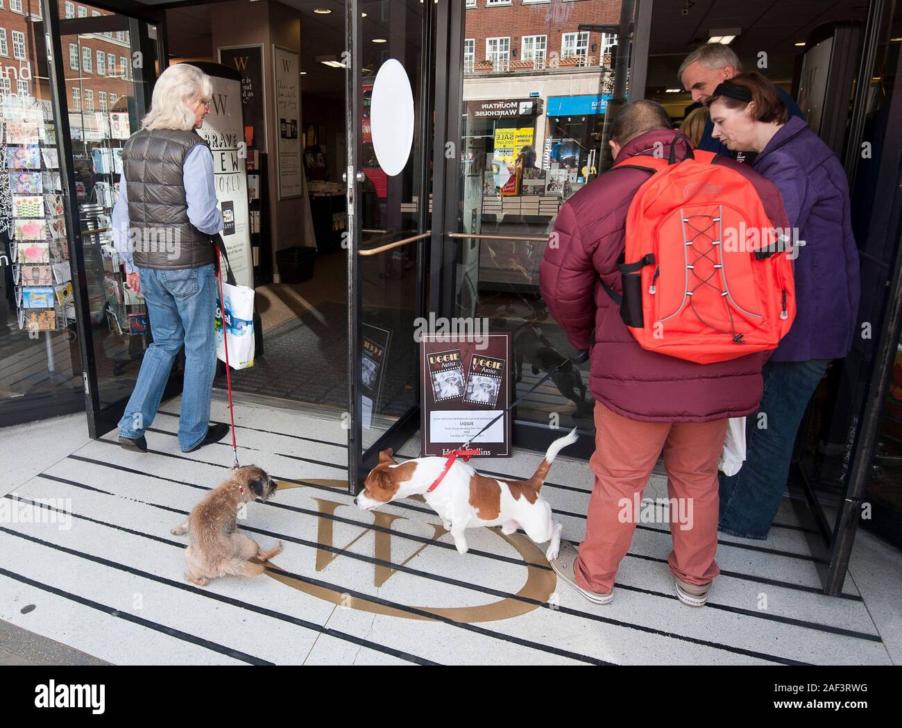 'Uggie' the Jack Russell star of the film The Artist' making a public ...