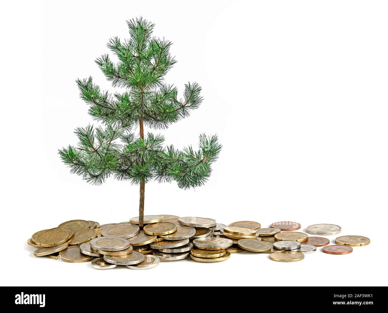 Pine tree growing from pile of coins Stock Photo - Alamy