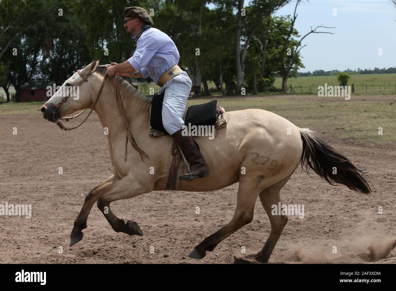 Argintina hi-res stock photography and images - Alamy