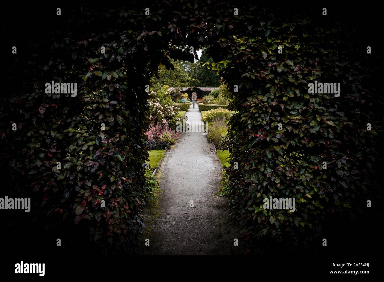 Green hedge row hi-res stock photography and images - Alamy