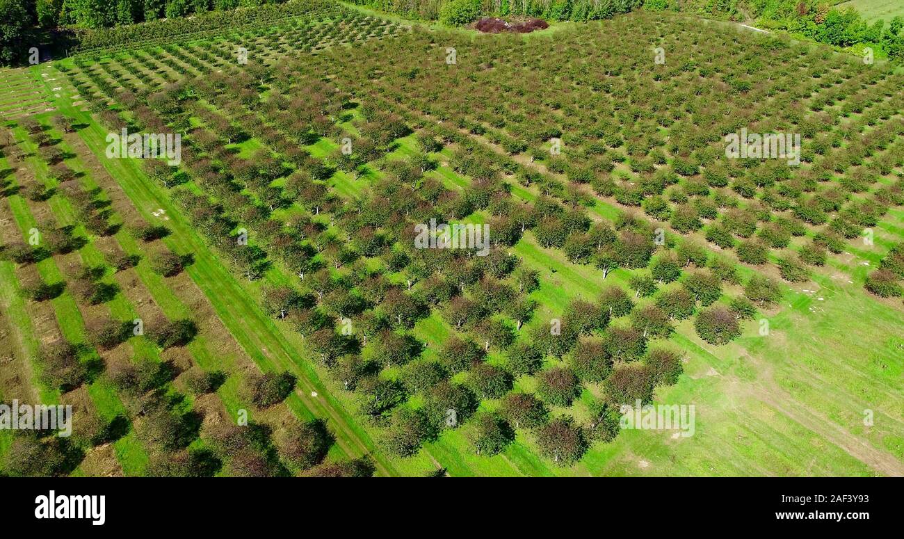 Door peninsula cherry orchards hi-res stock photography and images - Alamy