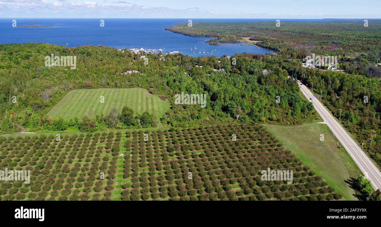 U pick raspberries hi-res stock photography and images - Alamy