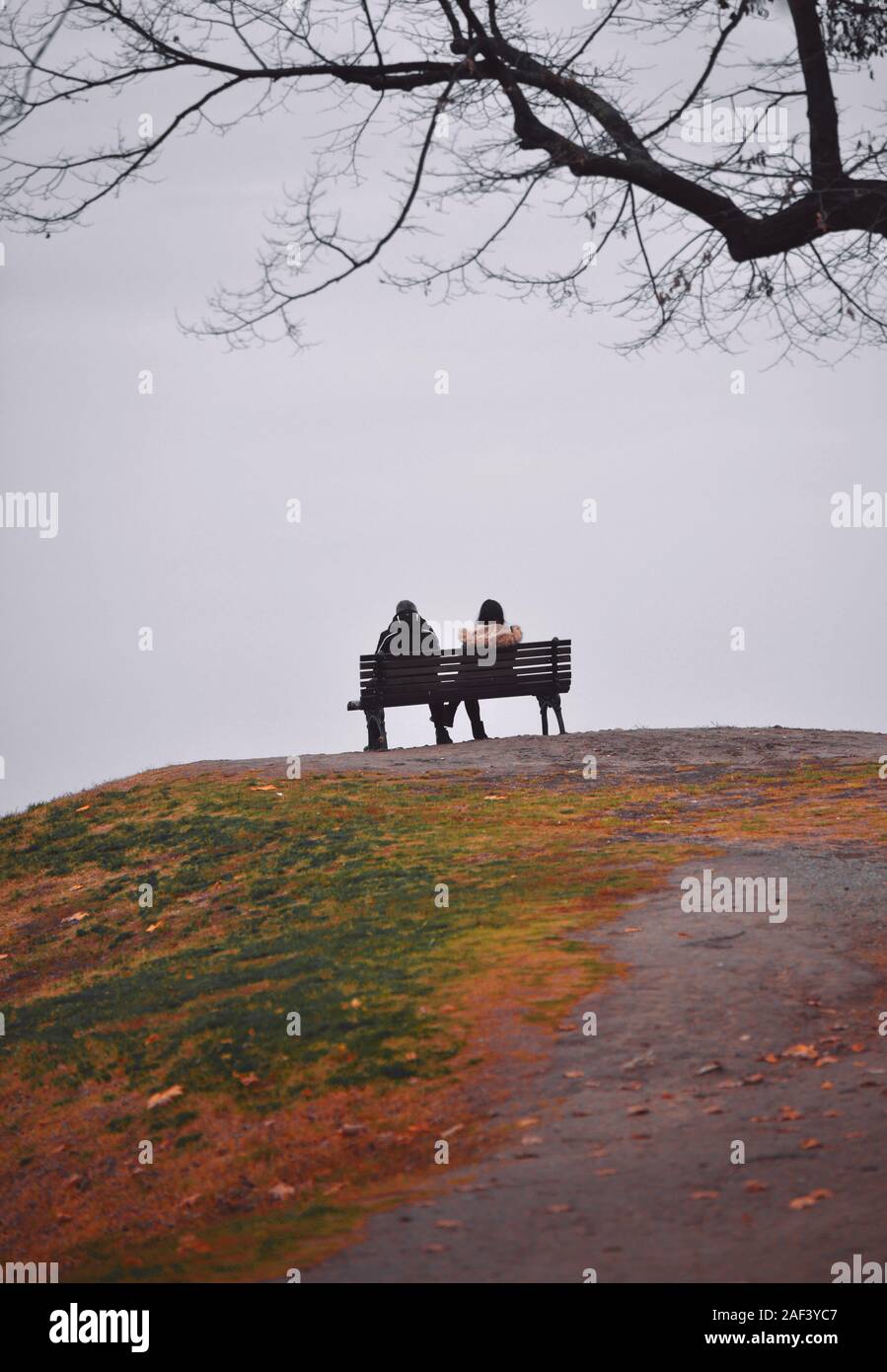 Back view of a couple sitting on a park bench on top of a hill Stock ...