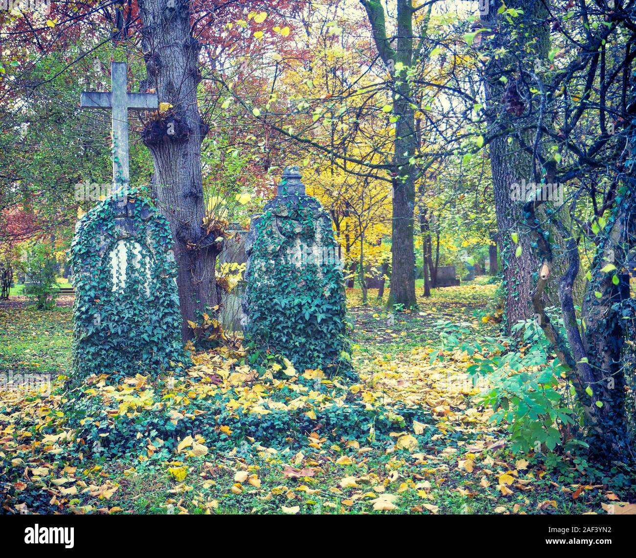 Munich, autumnal view with beautiful colors of Alter Nordfriedhof (old ...