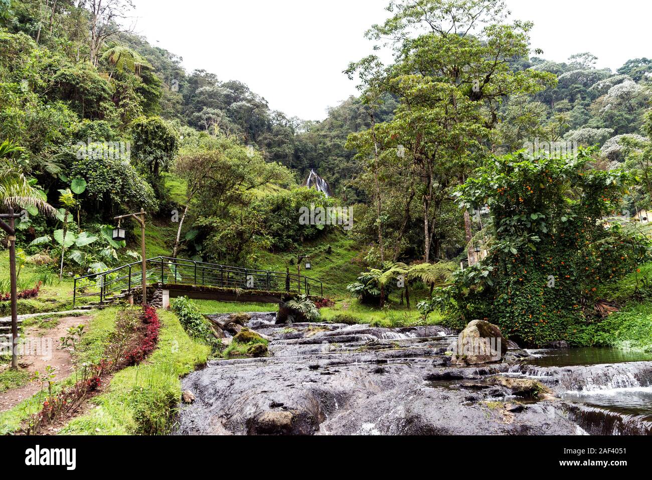 Natural Landscapes of Santa Rosa de Cabal in Risaralda, Colombia Stock ...