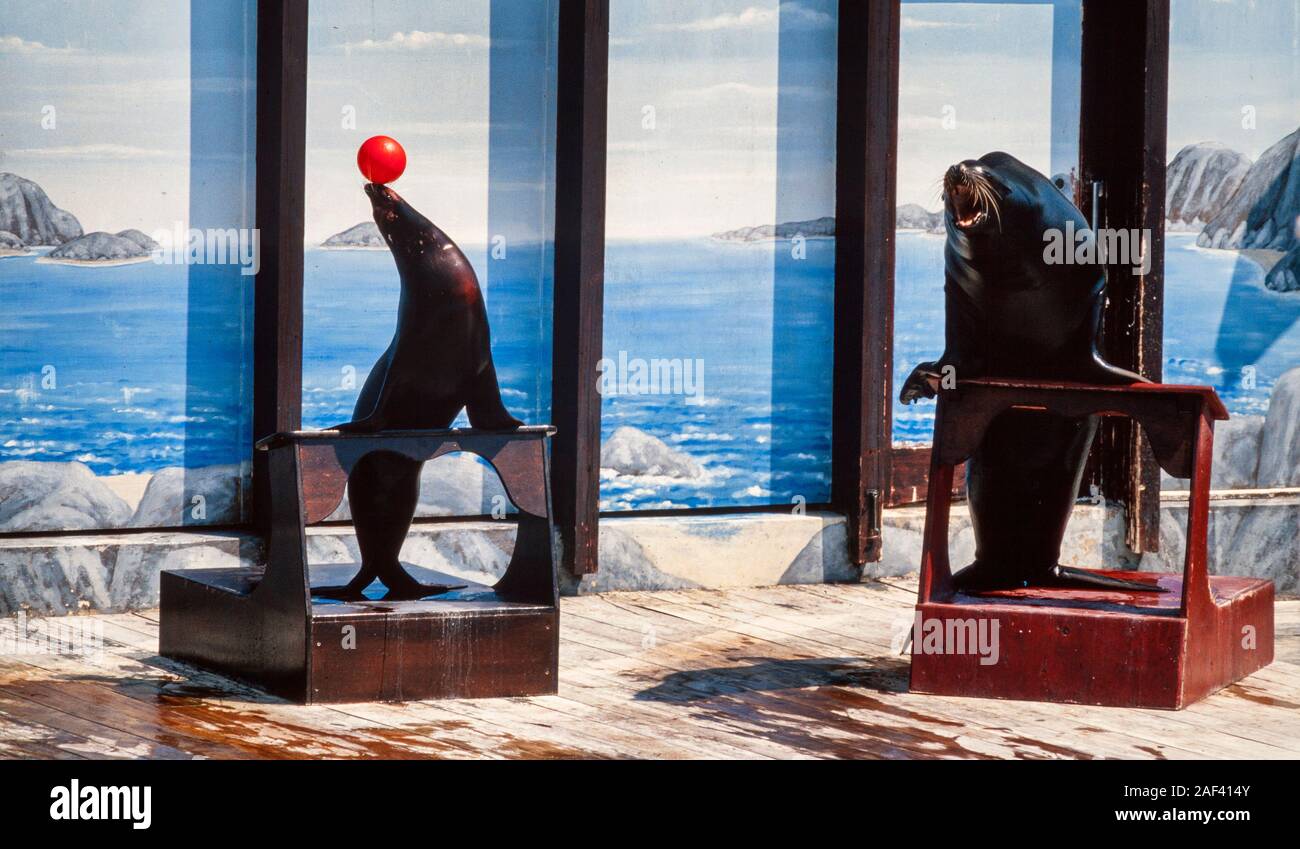 Bigtop hi-res stock photography and images - Alamy