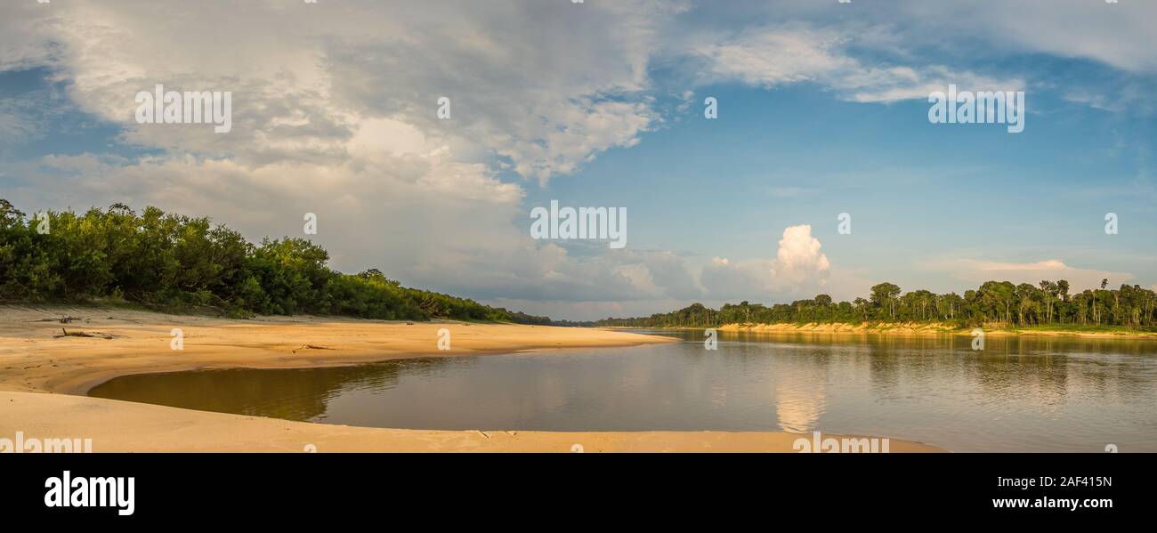 Sandy beach at the Javari River, the tributary of the Amazon River ...