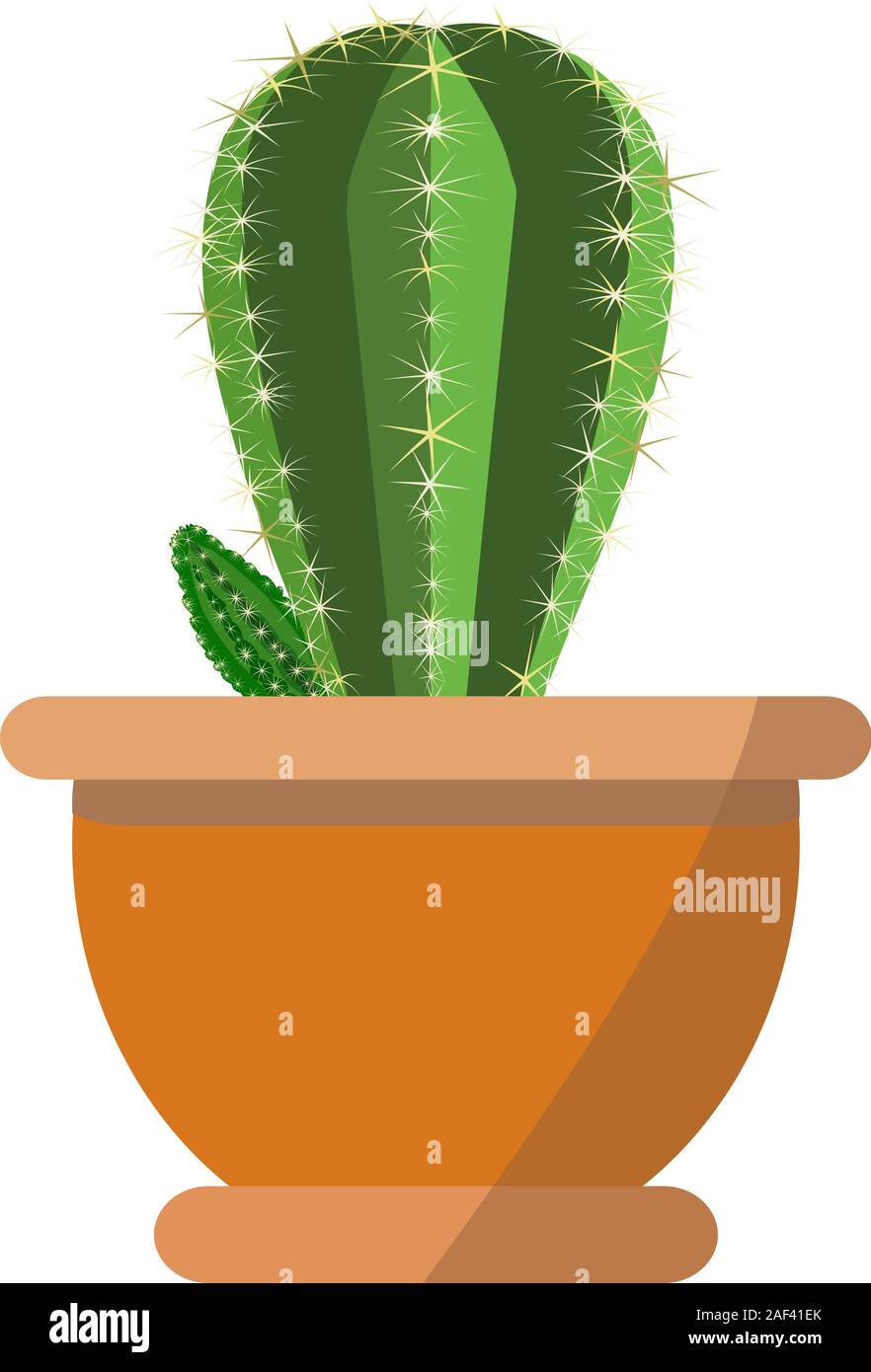 Beautiful green cactus plant vector in fashion flower pot isolated on ...