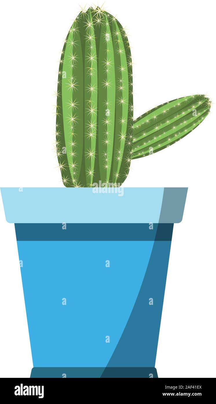 Potted cute cactus vector in blue flower pot isolated on white ...