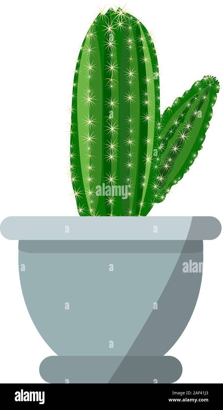Decorative green cactus plant vector in attractive grey flower pot ...