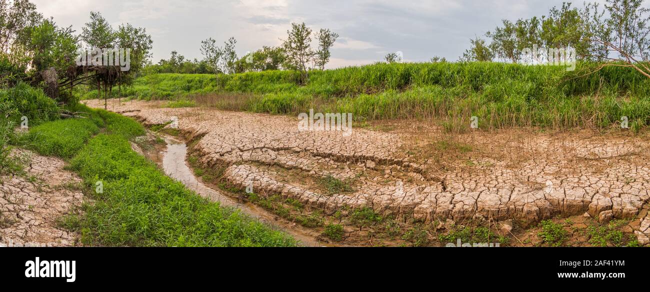 Small brook near the Javari River, the tributary of the Amazon River ...
