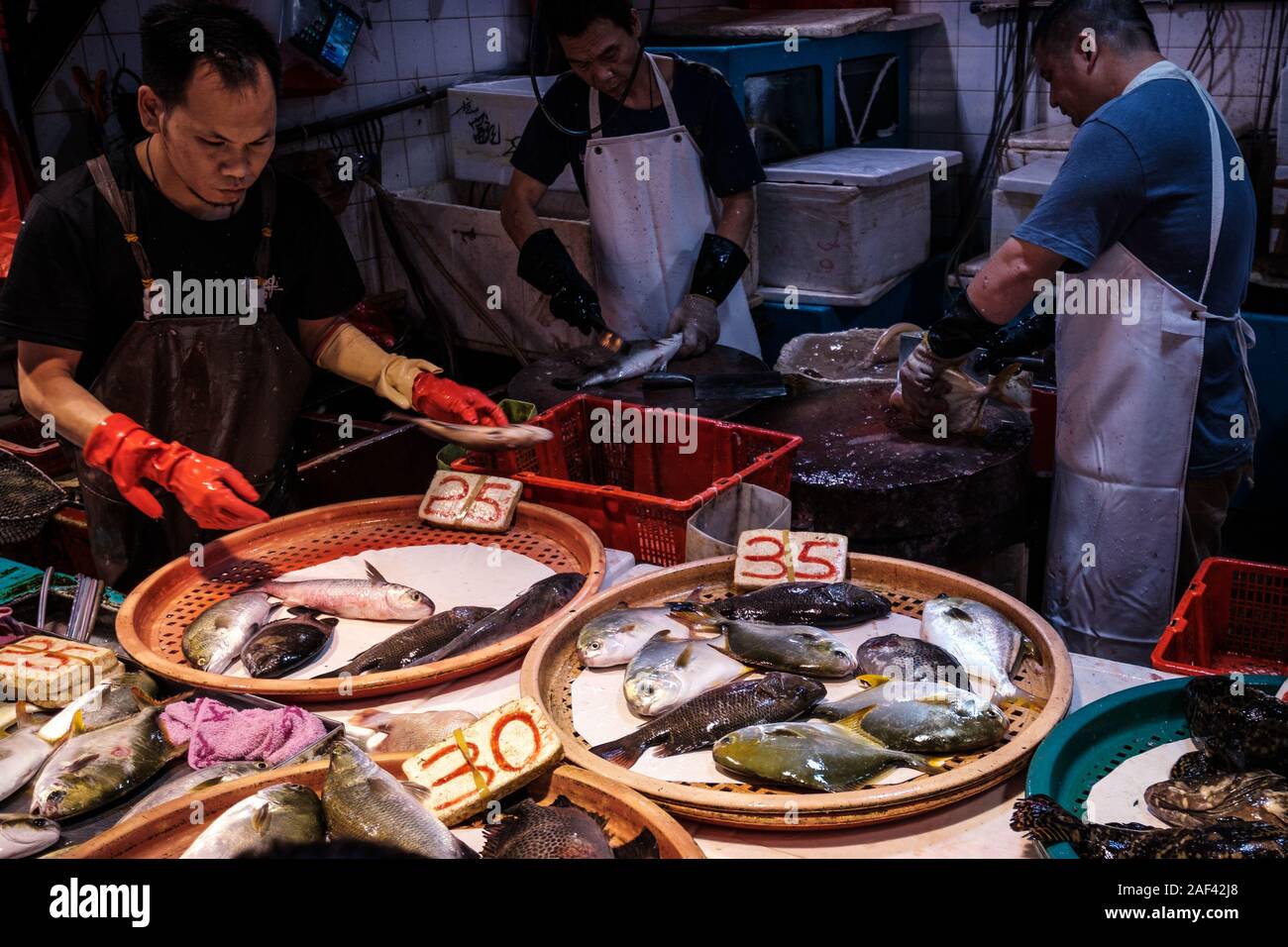 China fish market hi-res stock photography and images - Alamy