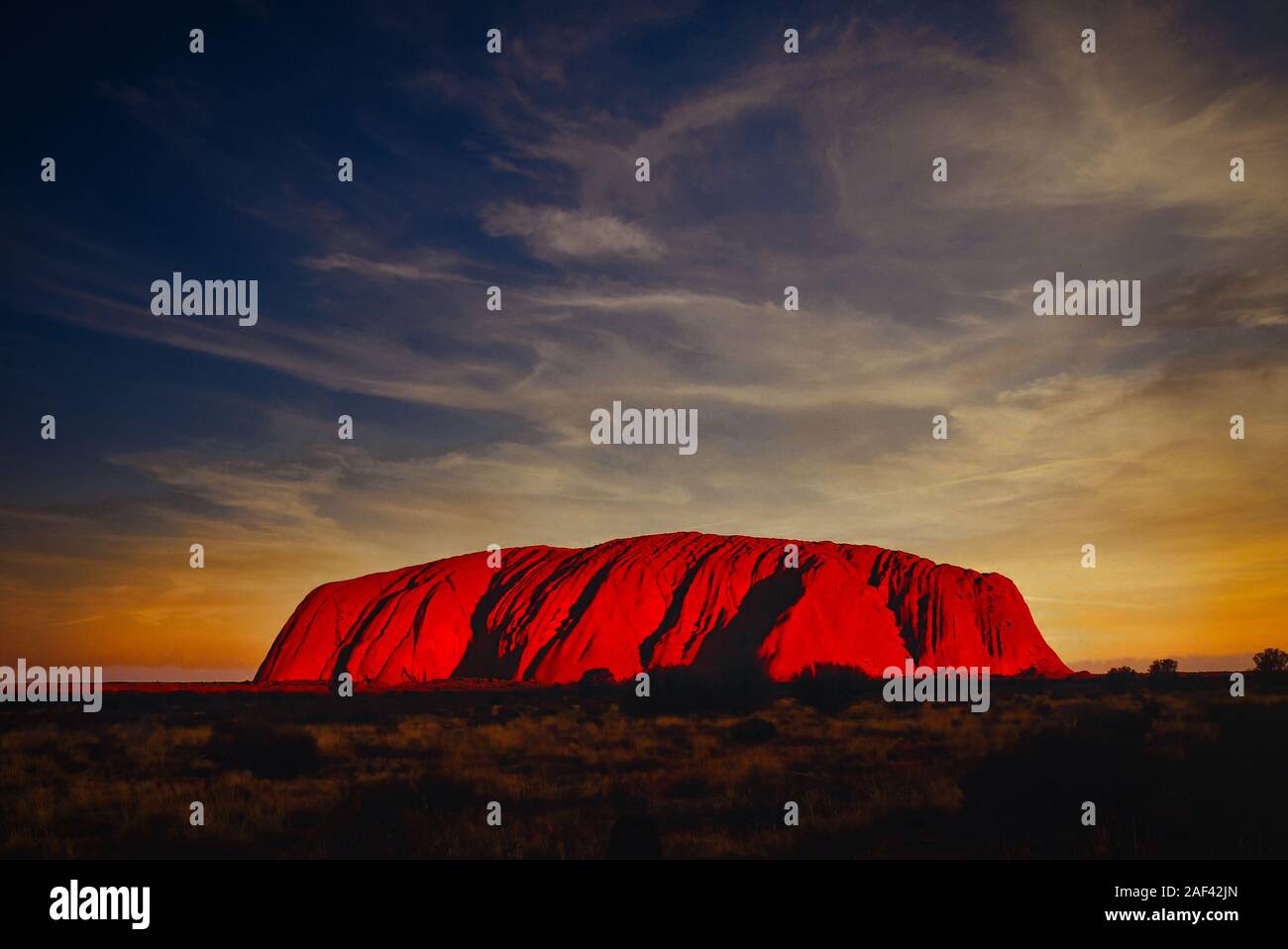 Tree on uluru ayers rock hi-res stock photography and images - Alamy