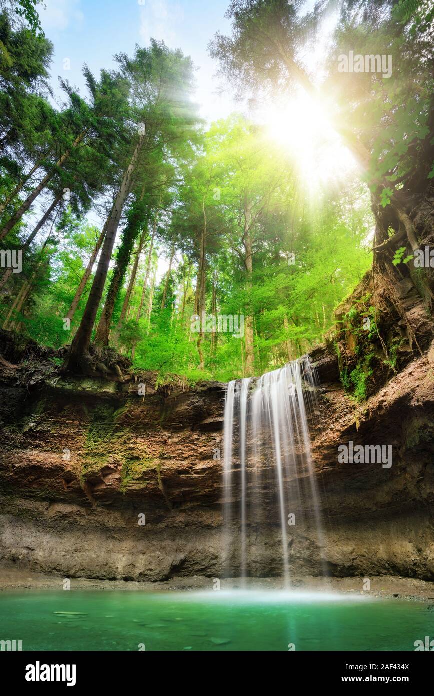 Beautiful shot layered forest hi-res stock photography and images - Alamy