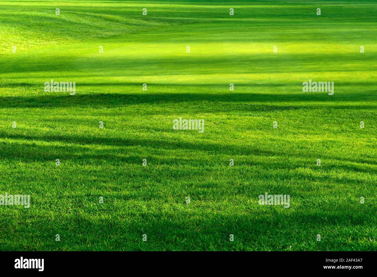 Striped lawn hi-res stock photography and images - Alamy