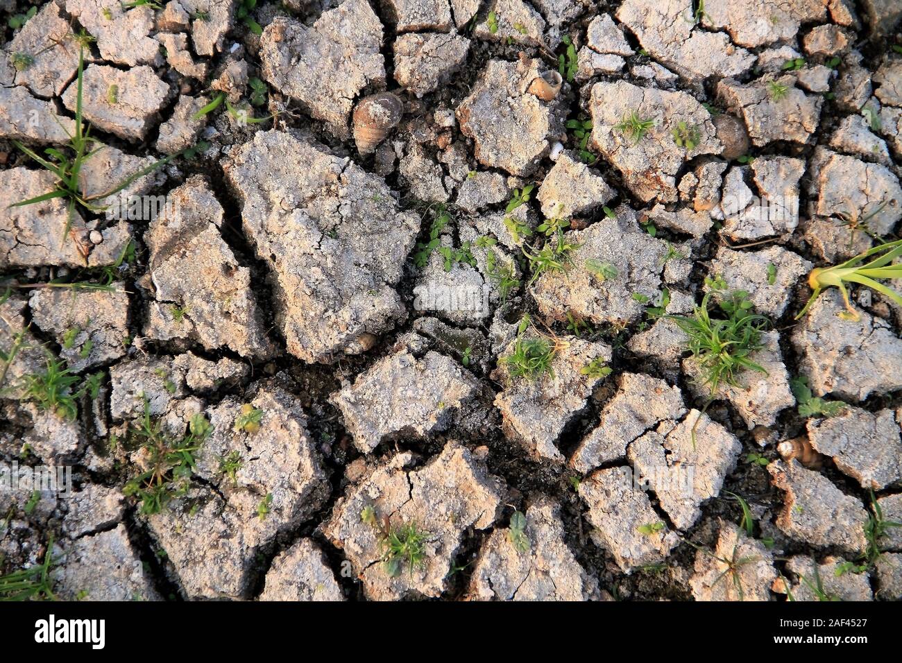 Drylands are characterized by a scarcity of water. Drylands have been ...