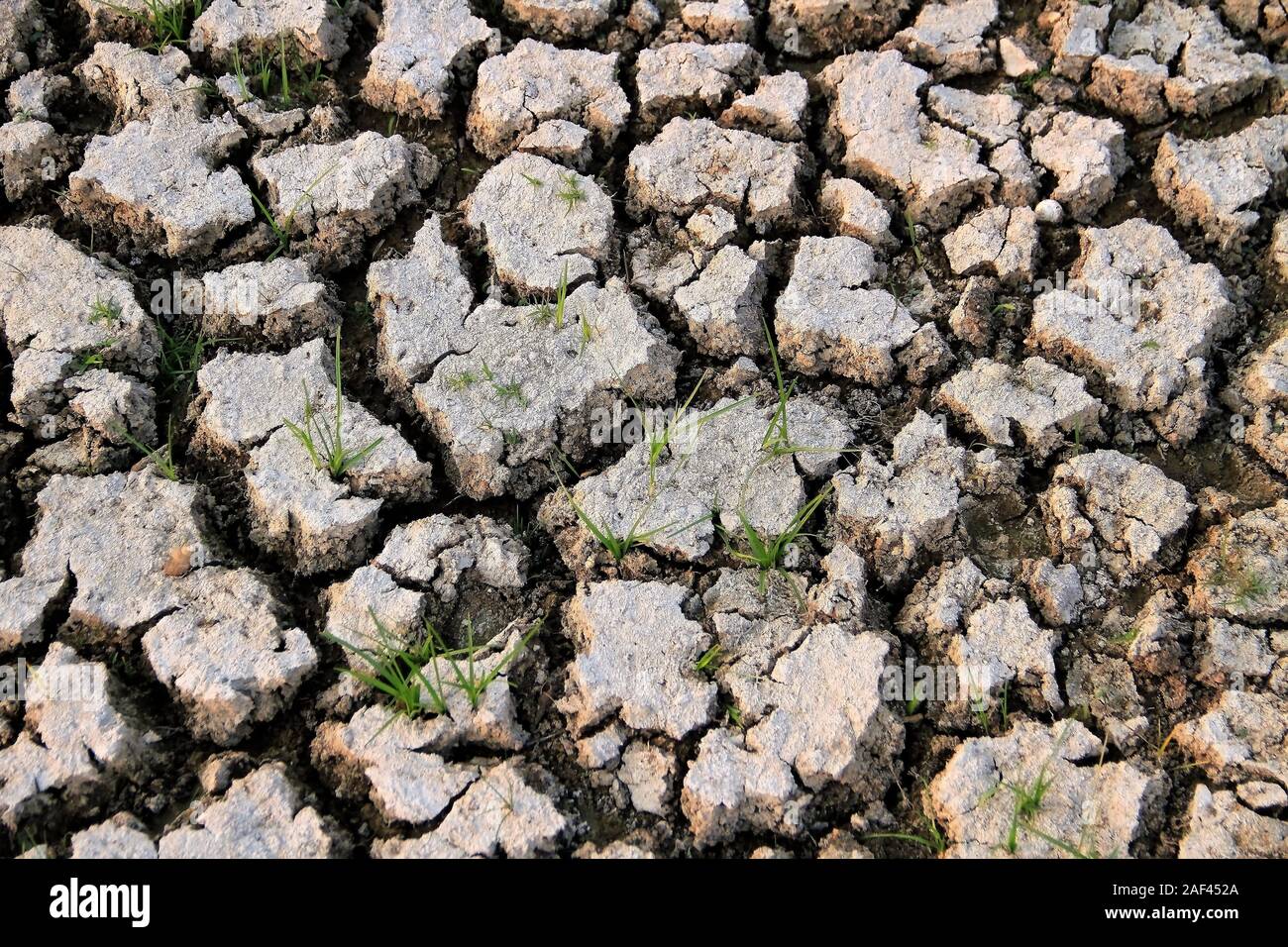 Drylands are characterized by a scarcity of water. Drylands have been ...