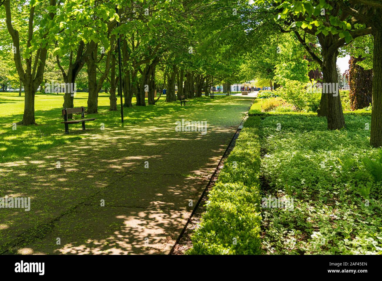 Centre island toronto canada park hi-res stock photography and images ...